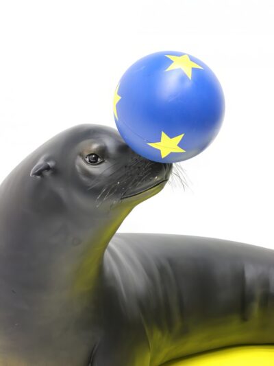 Sea Lion on Plinth | EPH Creative - Event Prop Hire