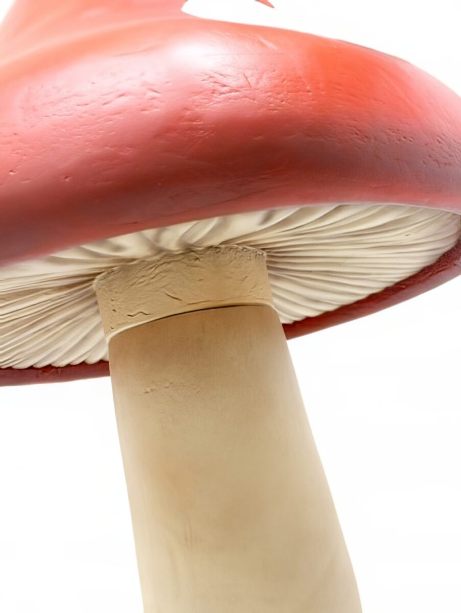 8ft 3D Toadstool | EPH Creative - Event Prop Hire
