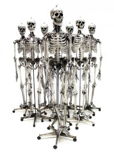 Skeleton Prop (On Stand) | EPH Creative - Event Prop Hire