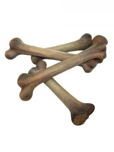 Medium Bone | EPH Creative - Event Prop Hire