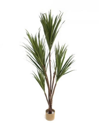 Trees Hire | Event Props | EPH Creative - Event Prop Hire