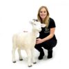 Life-size Goat Prop | EPH Creative - Event Prop Hire