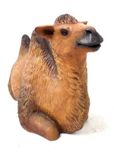 Life-size Sitting Camel | EPH Creative - Event Prop Hire