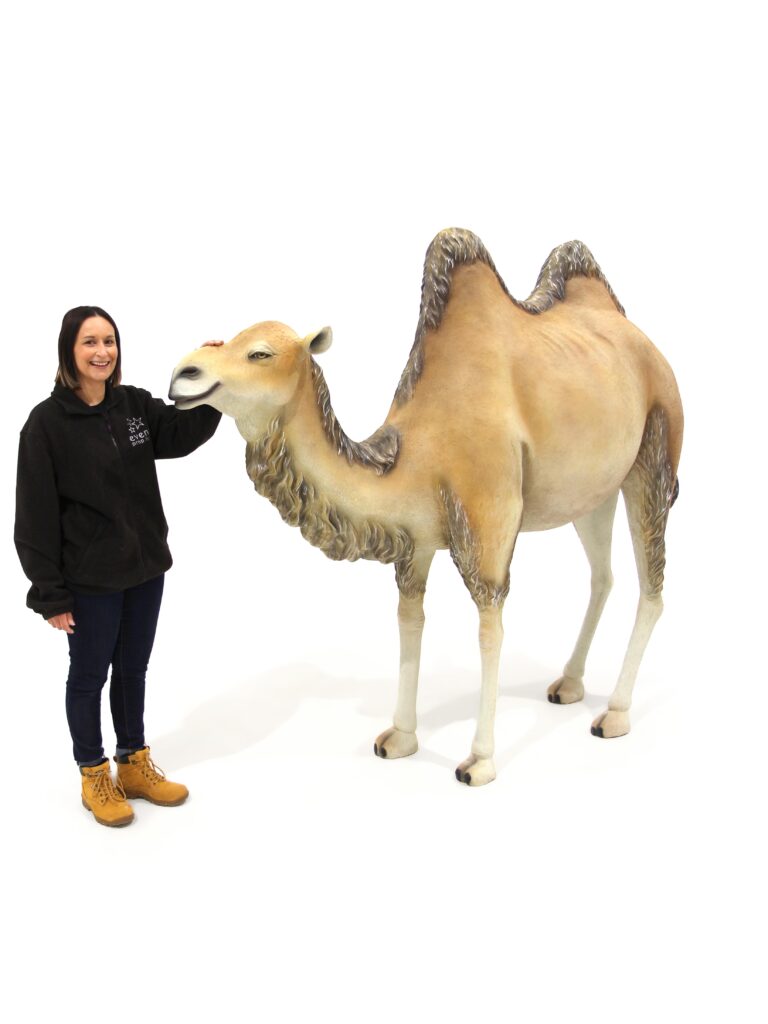 Camel - 1.8m | EPH Creative - Event Prop Hire