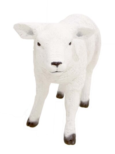 Lamb | EPH Creative - Event Prop Hire