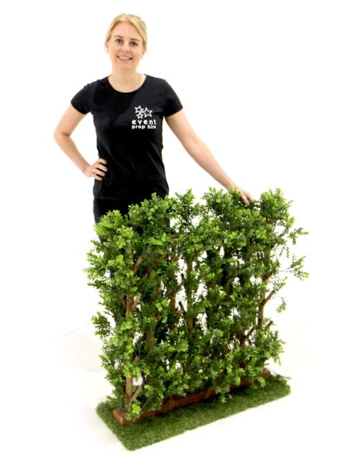 Hedge Section | EPH Creative - Event Prop Hire