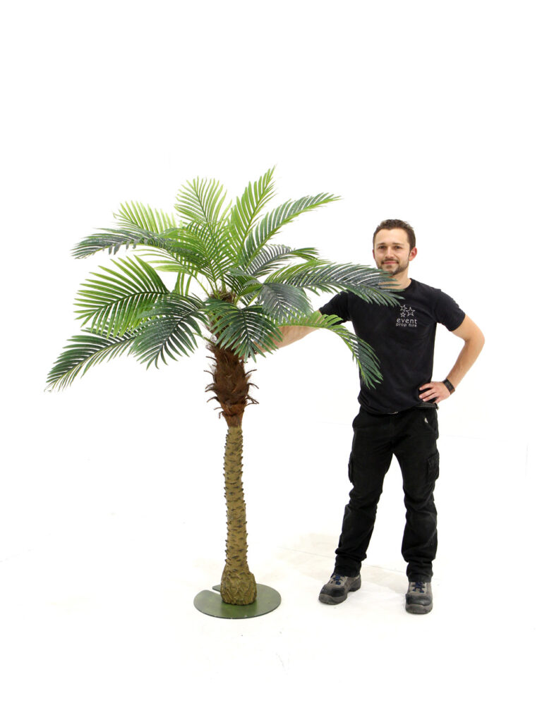 Tropical Palm Tree (6ft) | EPH Creative - Event Prop Hire