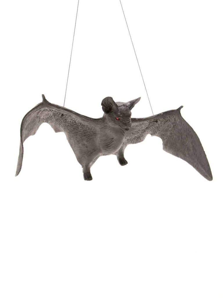 Crow | EPH Creative - Event Prop Hire