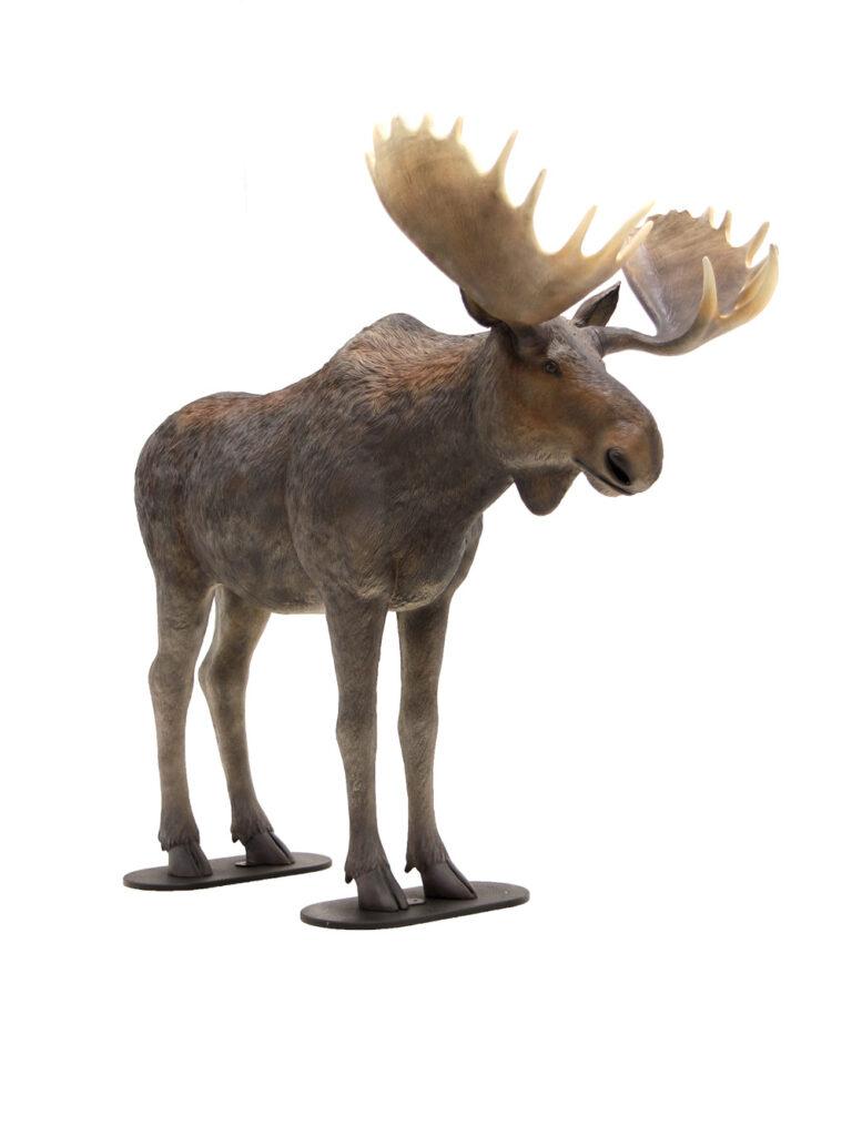 Life-size Moose | EPH Creative - Event Prop Hire
