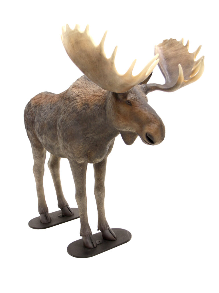 Animals | Page 4 of 8 Hire | Event Props | EPH Creative - Event Prop Hire