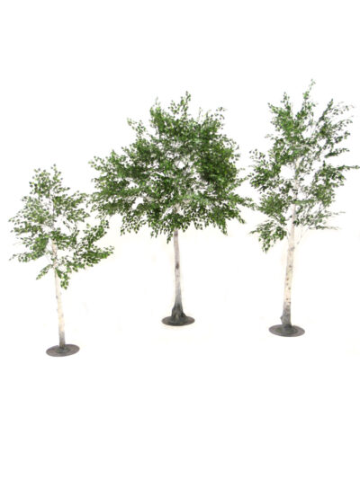 Silver Birch Tree - 3m | EPH Creative - Event Prop Hire