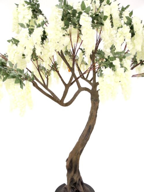 Twisted Trunk Tree (2.8m) - Wisteria Flower Cluster | EPH Creative ...