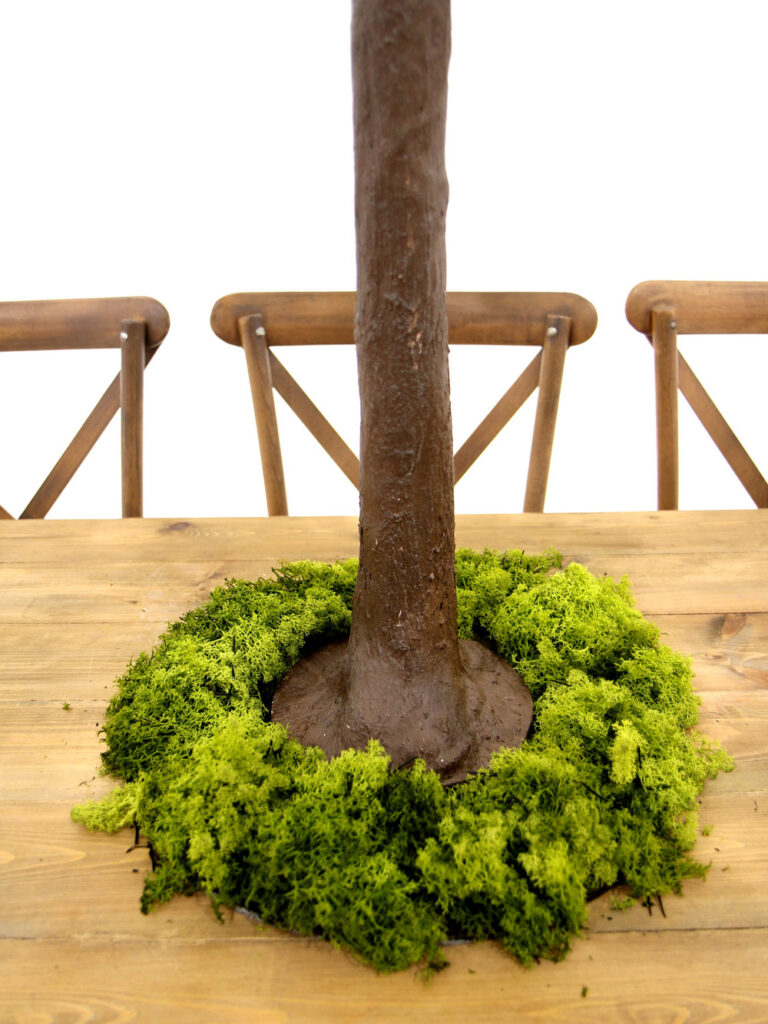 Table Top Tree (1.8m) - Weeping Willow | EPH Creative - Event Prop Hire