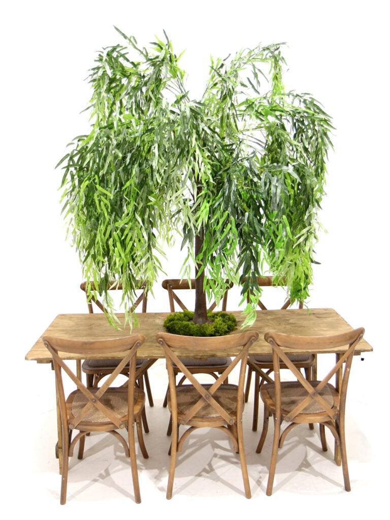 Table Top Tree (1.8m) - Weeping Willow | EPH Creative - Event Prop Hire