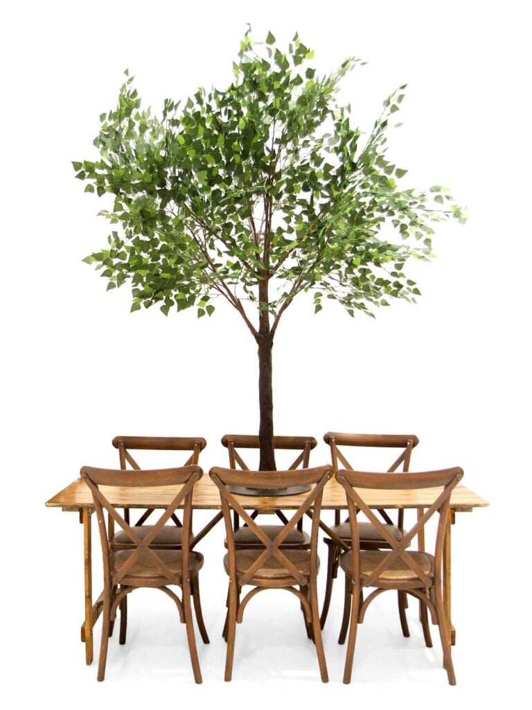 Table Top Tree (1.8m) - Brown Birch | EPH Creative - Event Prop Hire