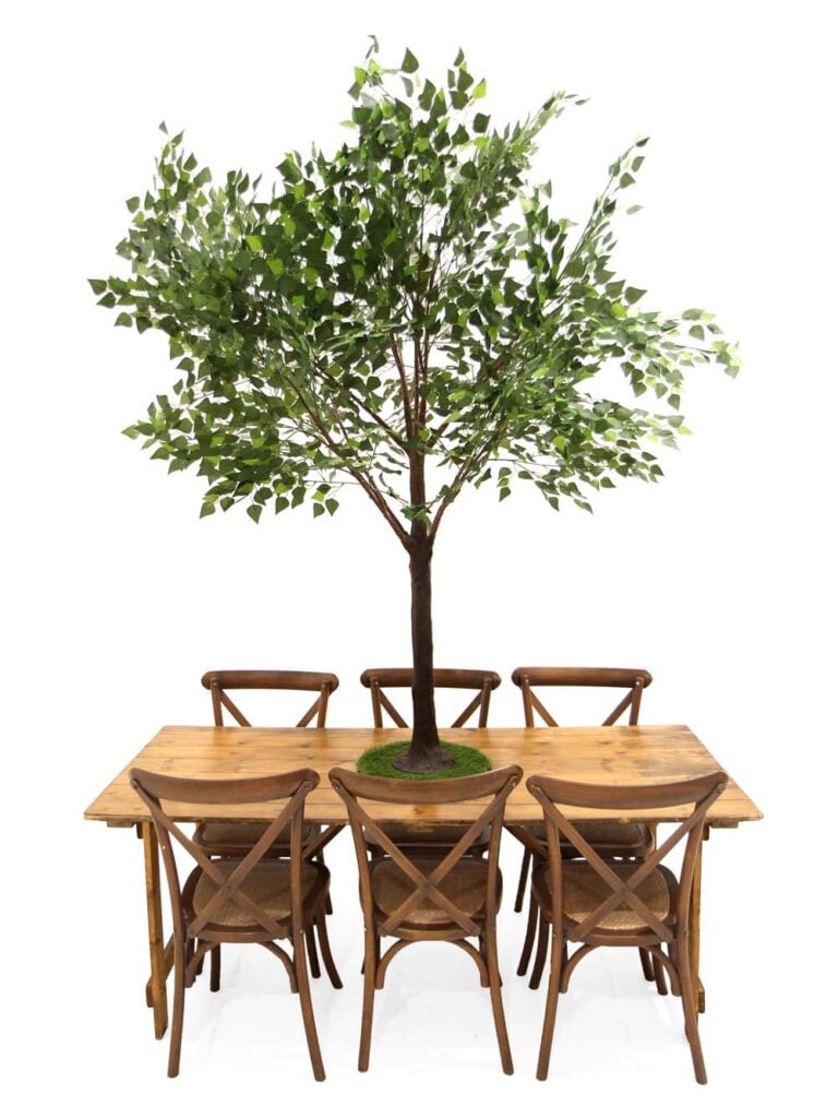 Table Top Tree (1.8m) - Brown Birch | EPH Creative - Event Prop Hire