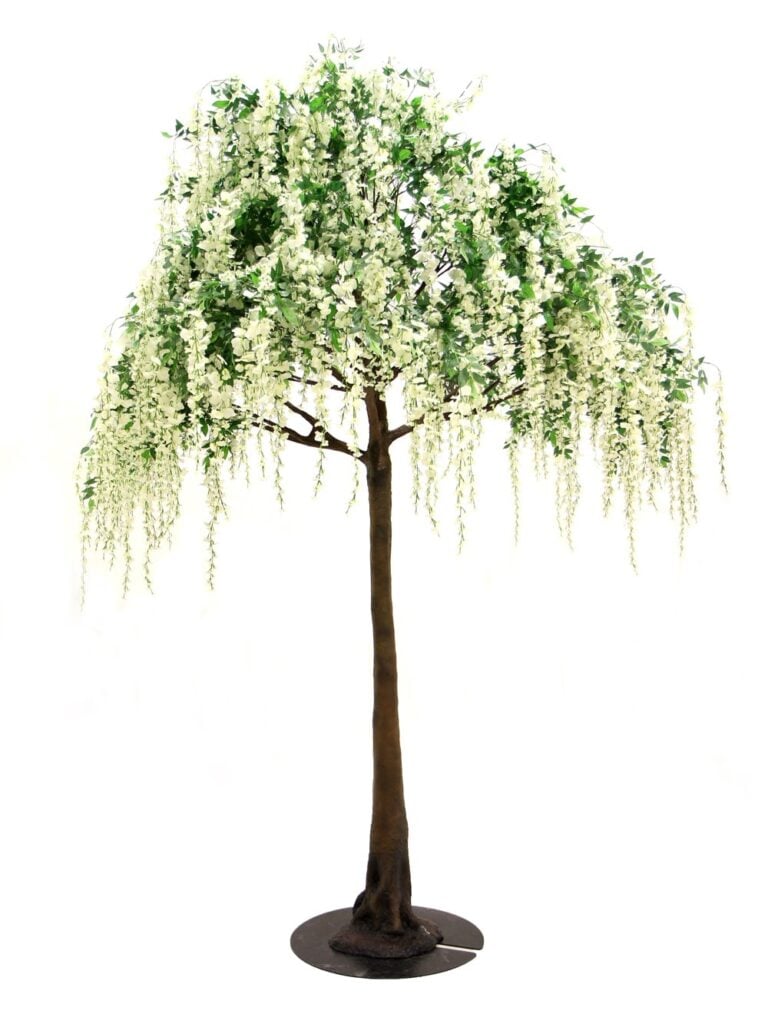 Short Canopy Tree (2.3m) - Wisteria Long Flower | EPH Creative - Event ...