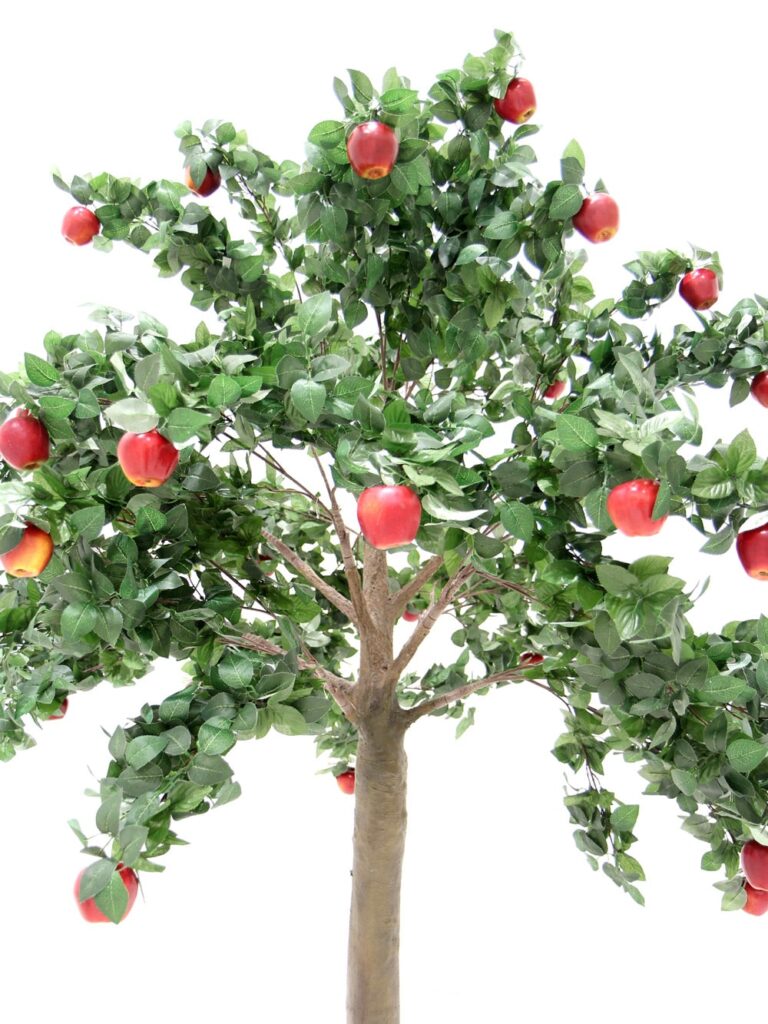 Medium Trunk Tree (2.7m) - Apple | EPH Creative - Event Prop Hire