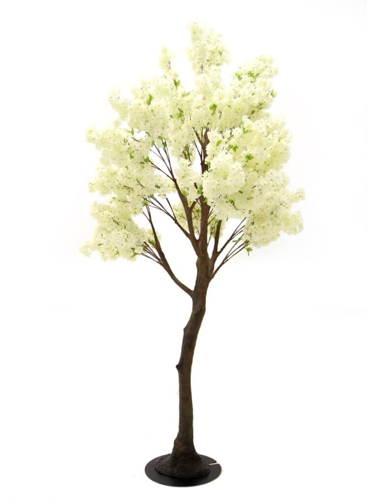 Medium Trunk Tree (2.9m) - Cream Blossom | EPH Creative - Event Prop Hire
