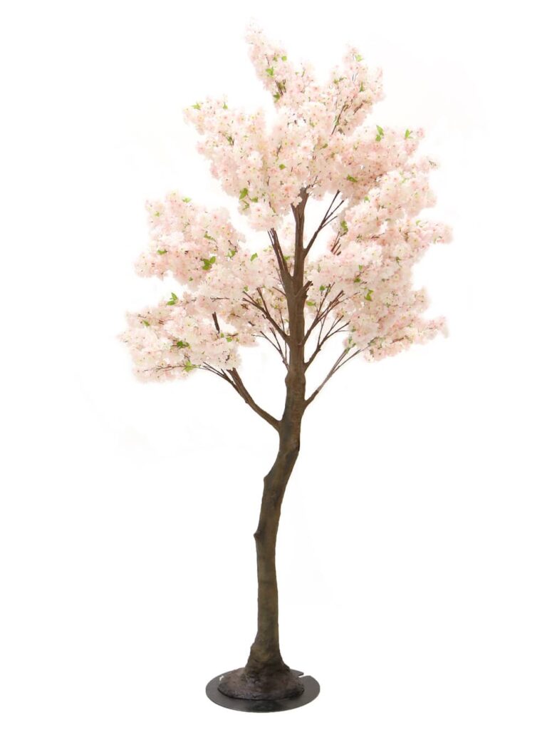 Tall Trunk Tree (3.5m) - Pink Blossom | EPH Creative - Event Prop Hire