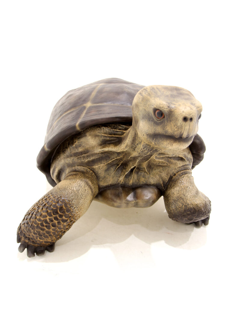 Giant Tortoise | EPH Creative - Event Prop Hire