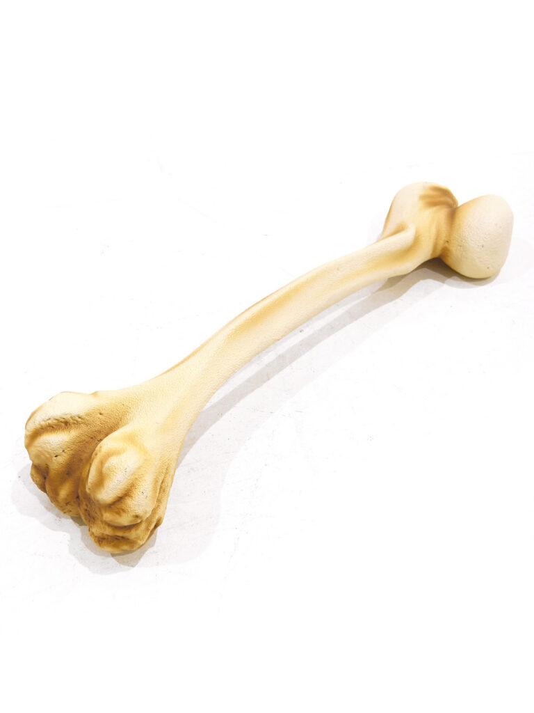 Large Dinosaur Bone | EPH Creative - Event Prop Hire