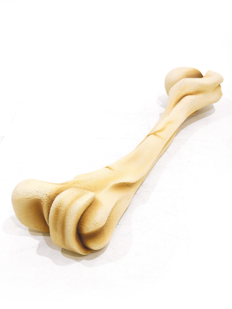 Large Dinosaur Bone | EPH Creative - Event Prop Hire