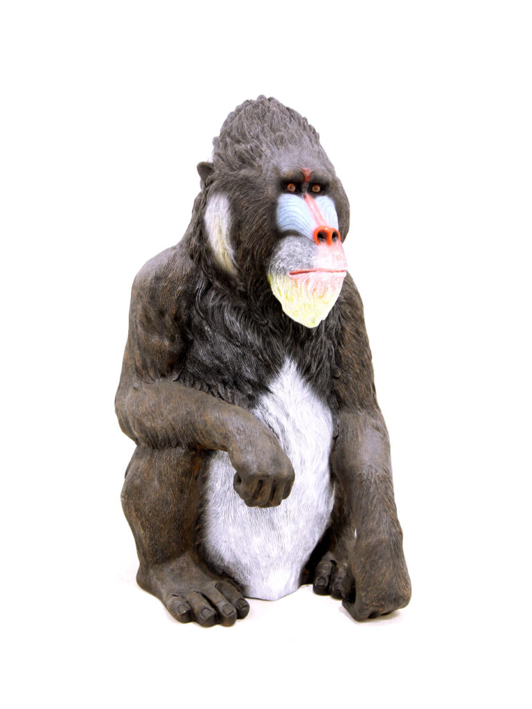 Life-size Mandrill Monkey | EPH Creative - Event Prop Hire