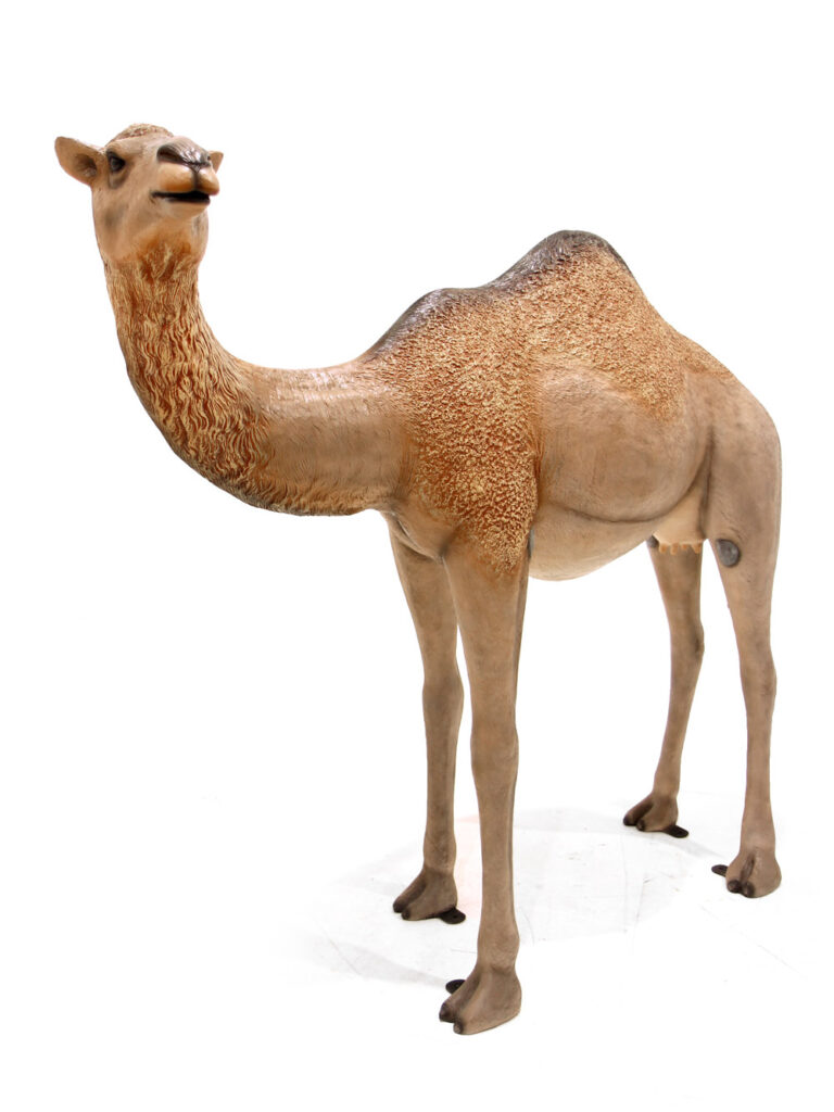 Life-size Camel Prop - Standing Dromedary | EPH Creative - Event Prop Hire