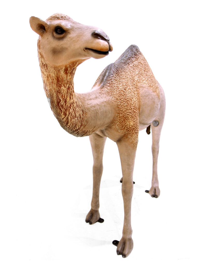 Life-size Camel Prop - Standing Dromedary | EPH Creative - Event Prop Hire