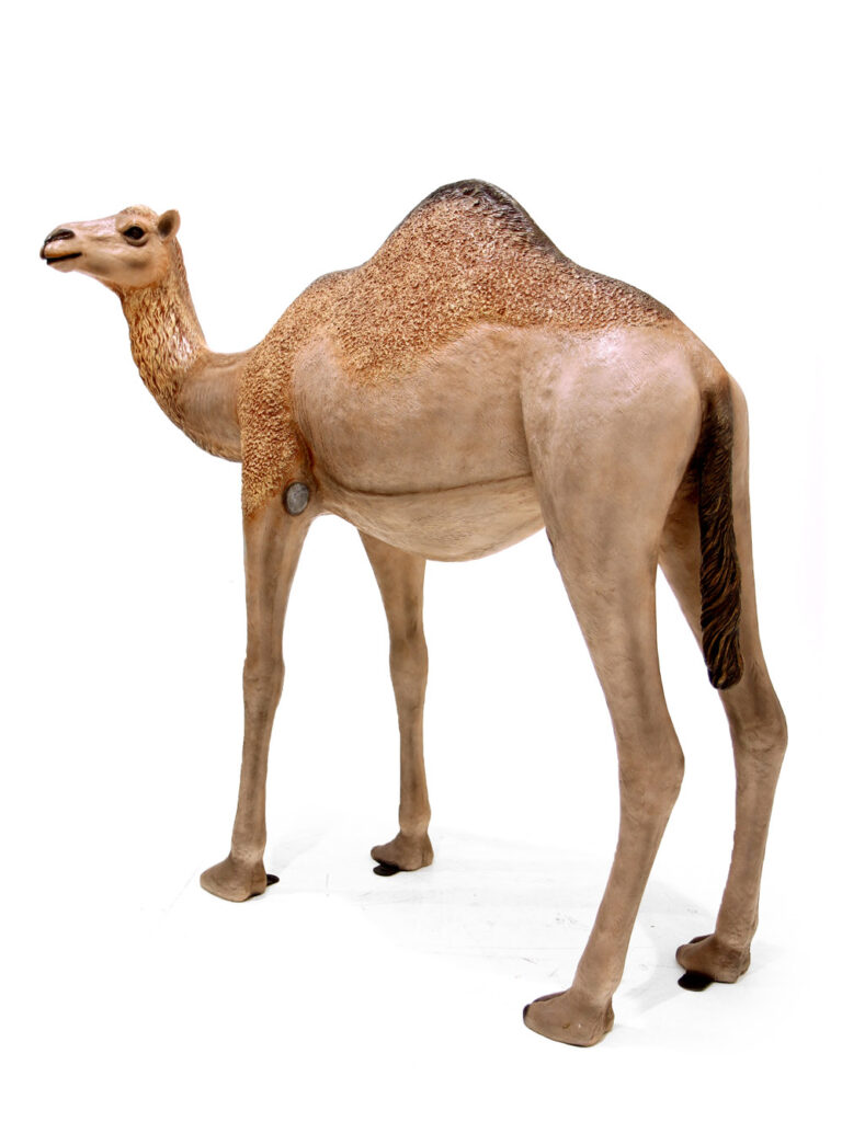 Life-size Camel Prop - Standing Dromedary | EPH Creative - Event Prop Hire
