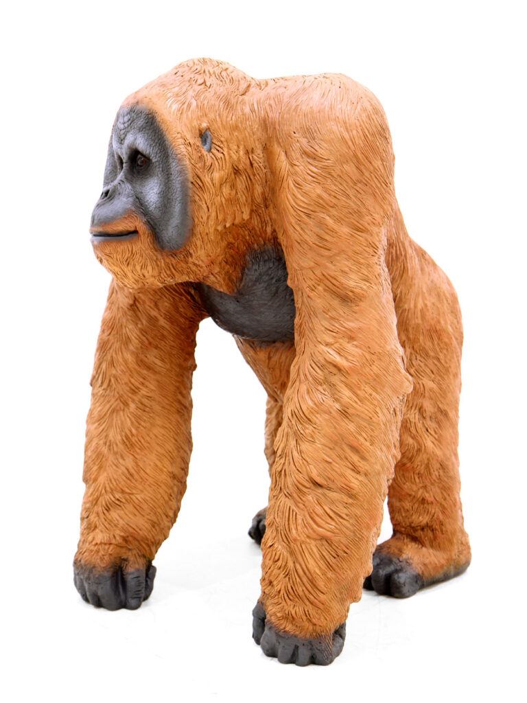 Life-size Orangutan | EPH Creative - Event Prop Hire