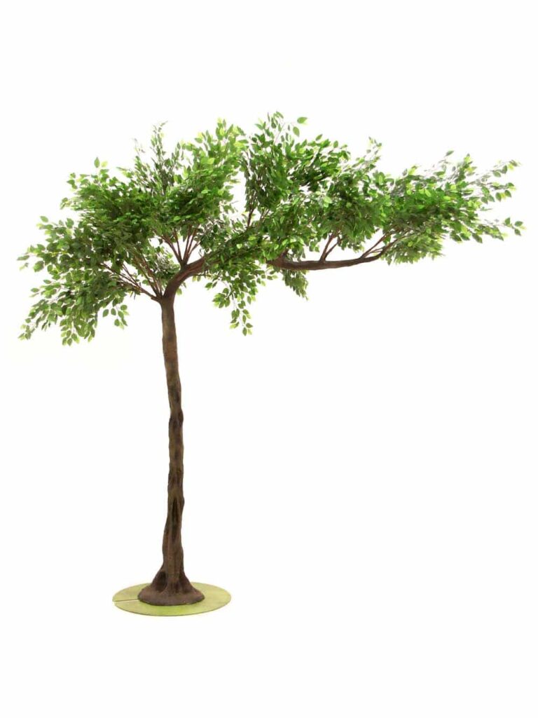 Canopy Tree (3m) - Ficus | EPH Creative - Event Prop Hire