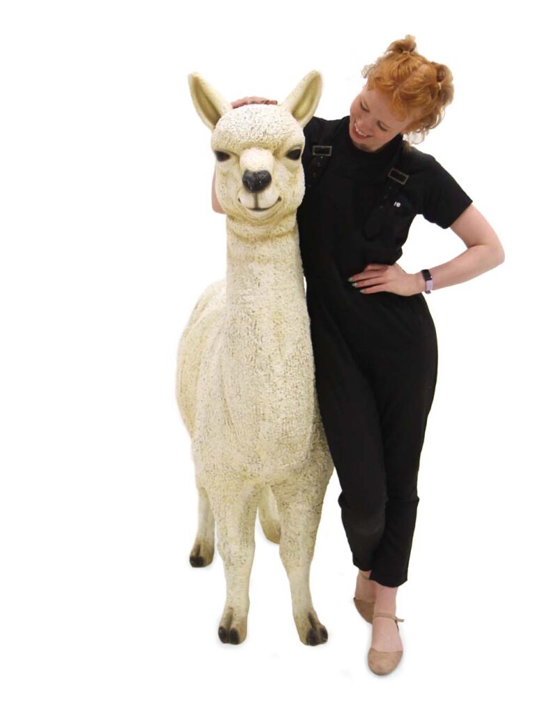Life-size Llama | EPH Creative - Event Prop Hire