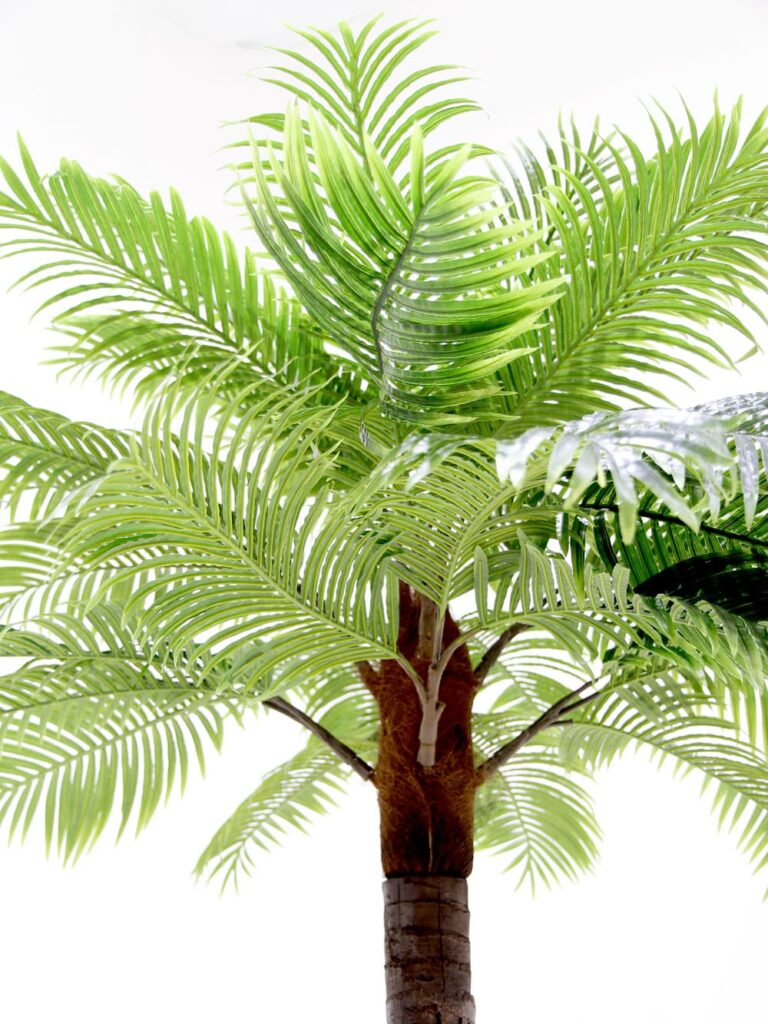 Medium Palm Tree - 2.5m | EPH Creative - Event Prop Hire