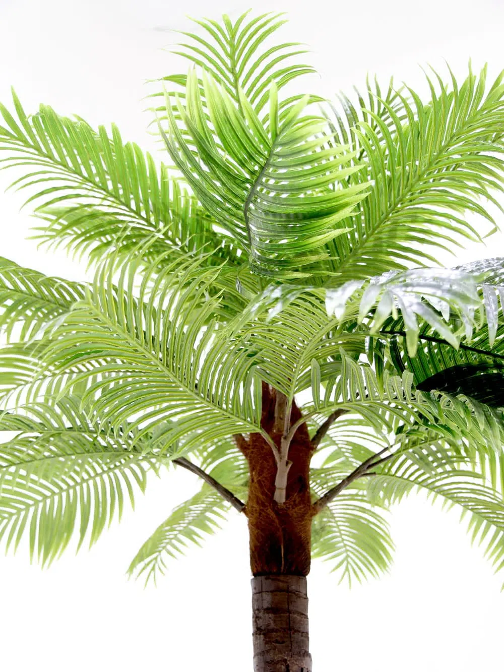 Tall Palm Tree - 3.2m | EPH Creative - Event Prop Hire