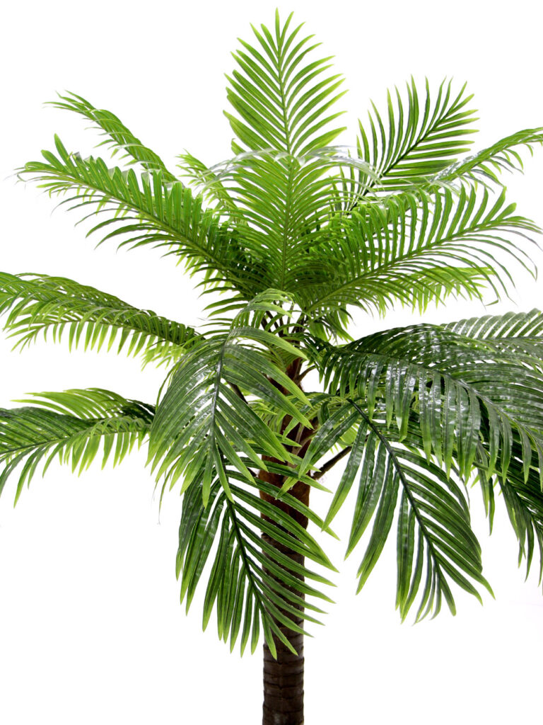 Medium Palm Tree - 2.5m | EPH Creative - Event Prop Hire