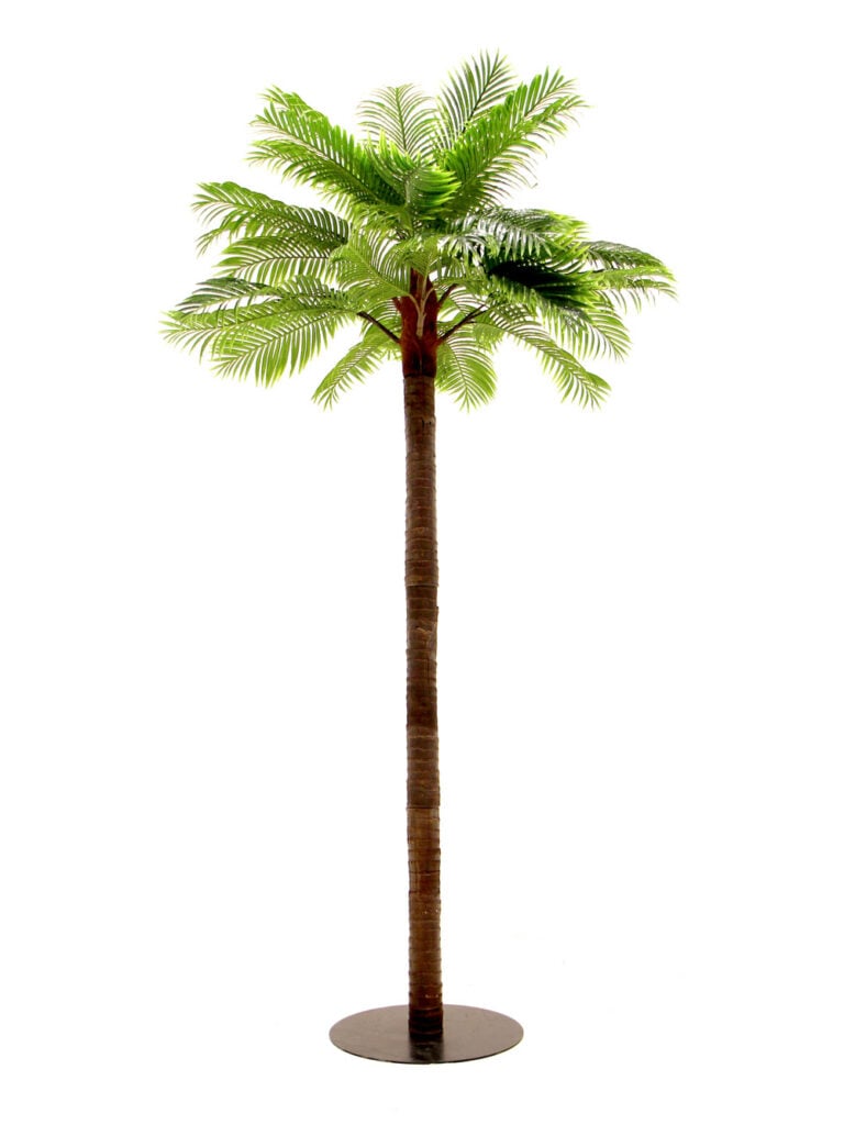 Tall Palm Tree - 3.2m | EPH Creative - Event Prop Hire