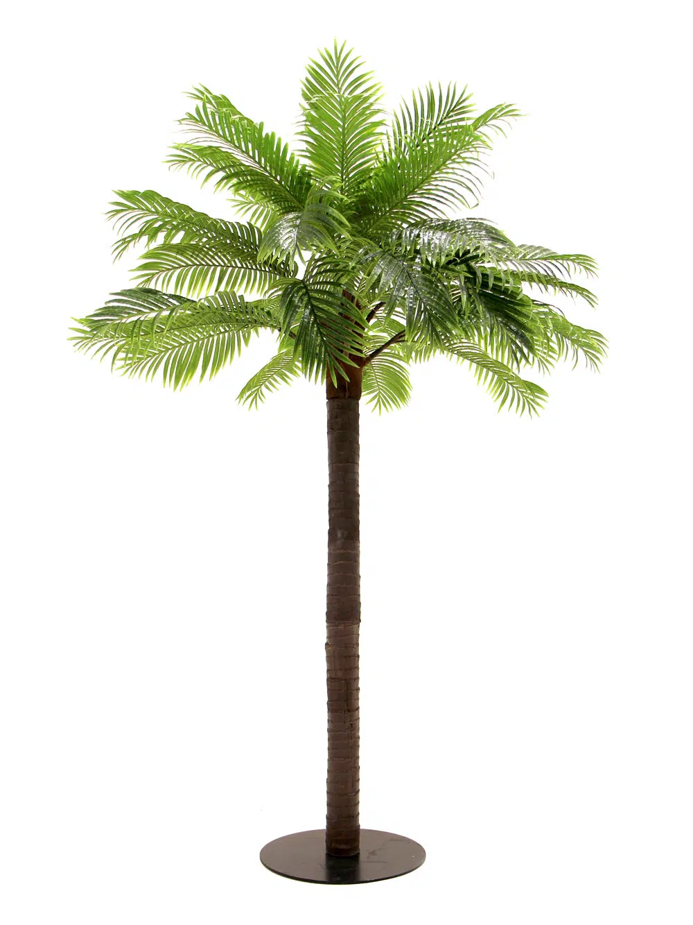 Palm Trees Hire | Event Props | EPH Creative - Event Prop Hire
