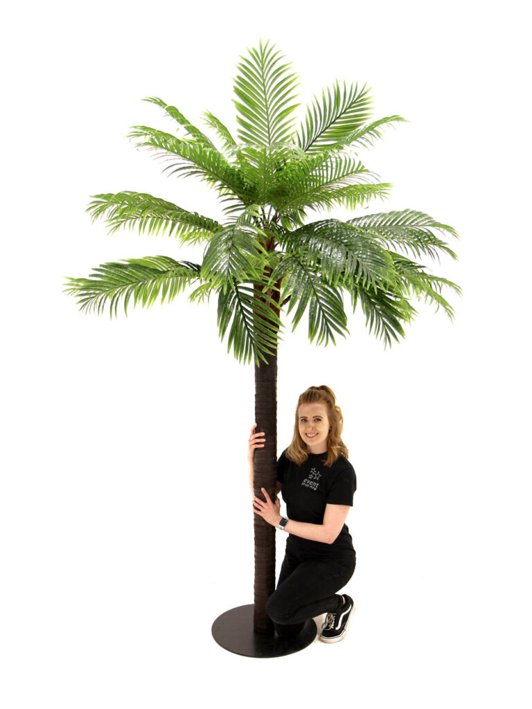 Medium Palm Tree - 2.5m | EPH Creative - Event Prop Hire