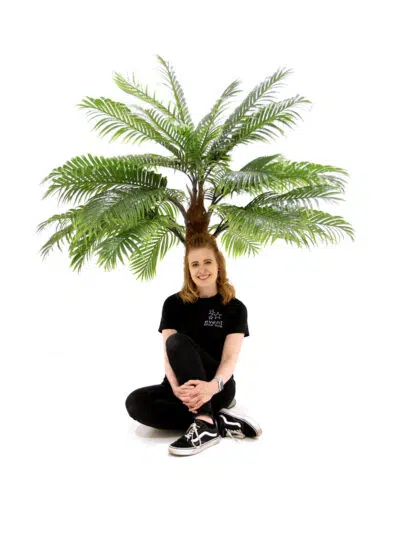 Palm Trees Hire | Event Props | EPH Creative - Event Prop Hire