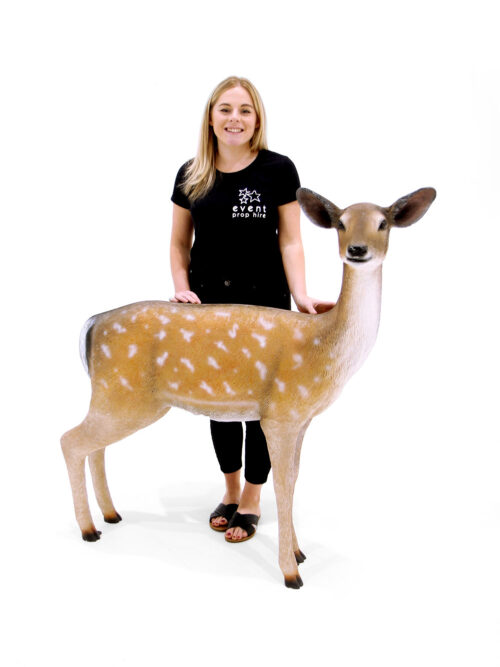 Female Deer Prop | EPH Creative - Event Prop Hire