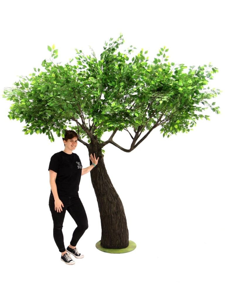 Thick Trunk Tree (2.9m) - Ficus | EPH Creative - Event Prop Hire