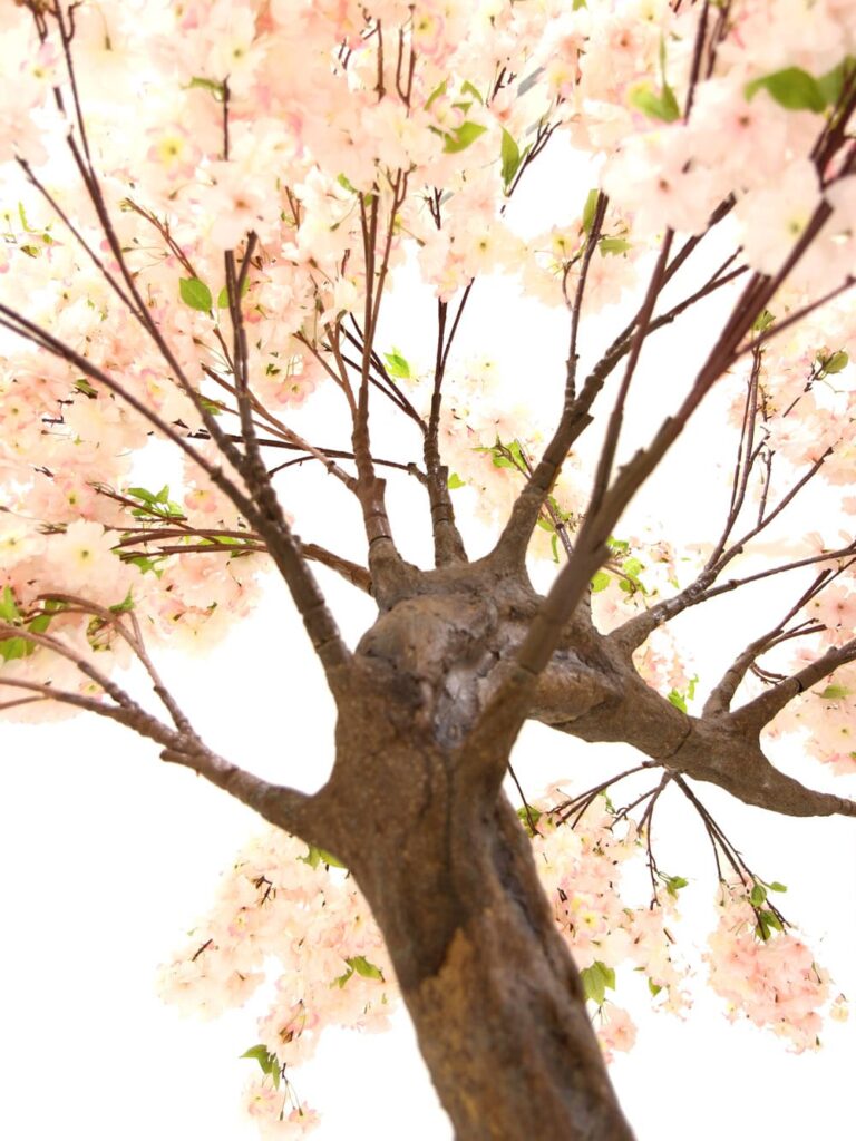 Short Canopy Tree (2.5m) - Pink Cherry Blossom | EPH Creative - Event ...