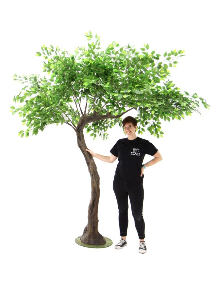 Short Canopy Tree (2.5m) - Ficus | EPH Creative - Event Prop Hire