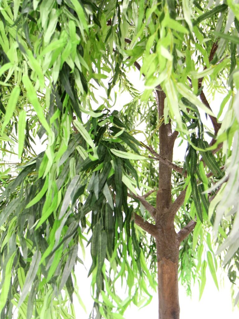 Giant Tree (5m) - Weeping Willow | EPH Creative - Event Prop Hire