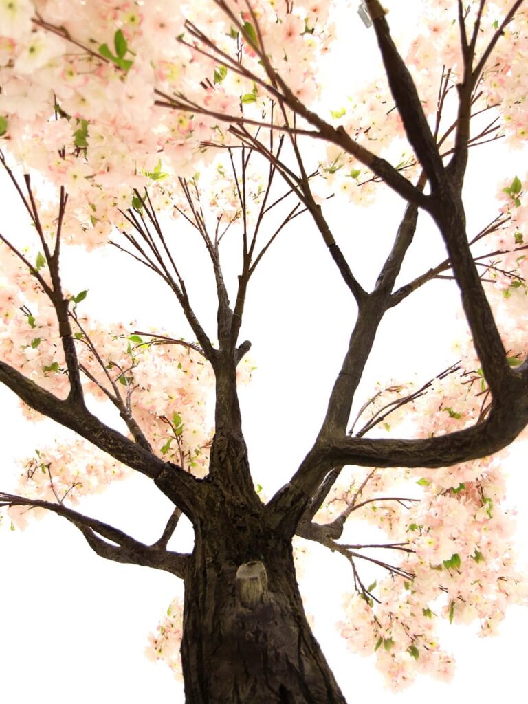 Thick Trunk Tree (2.9m) - Pink Blossom | EPH Creative - Event Prop Hire