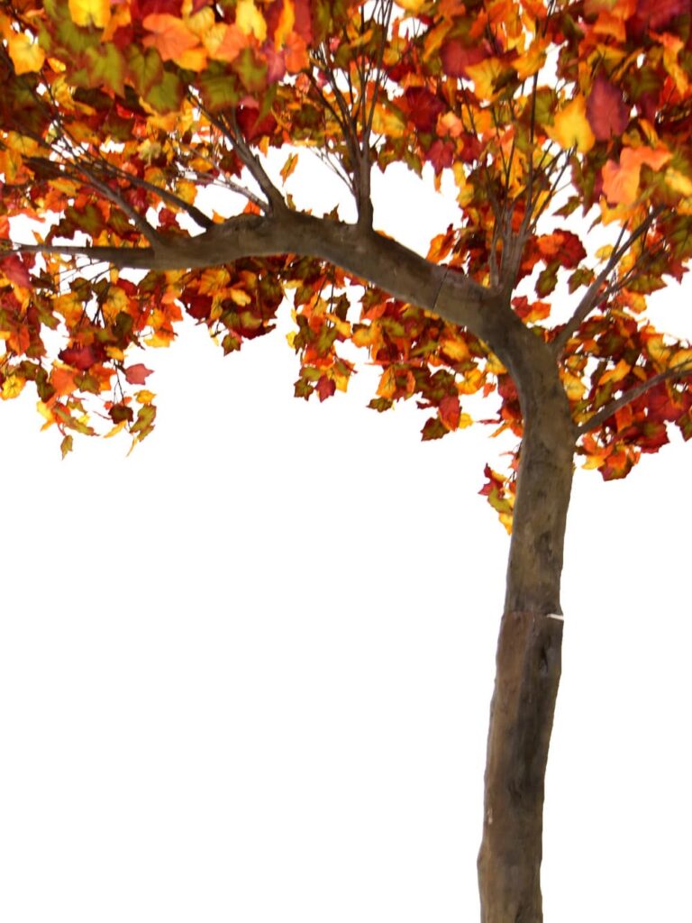Half Arch Tree (3.1m) - Autumn Foliage | EPH Creative - Event Prop Hire