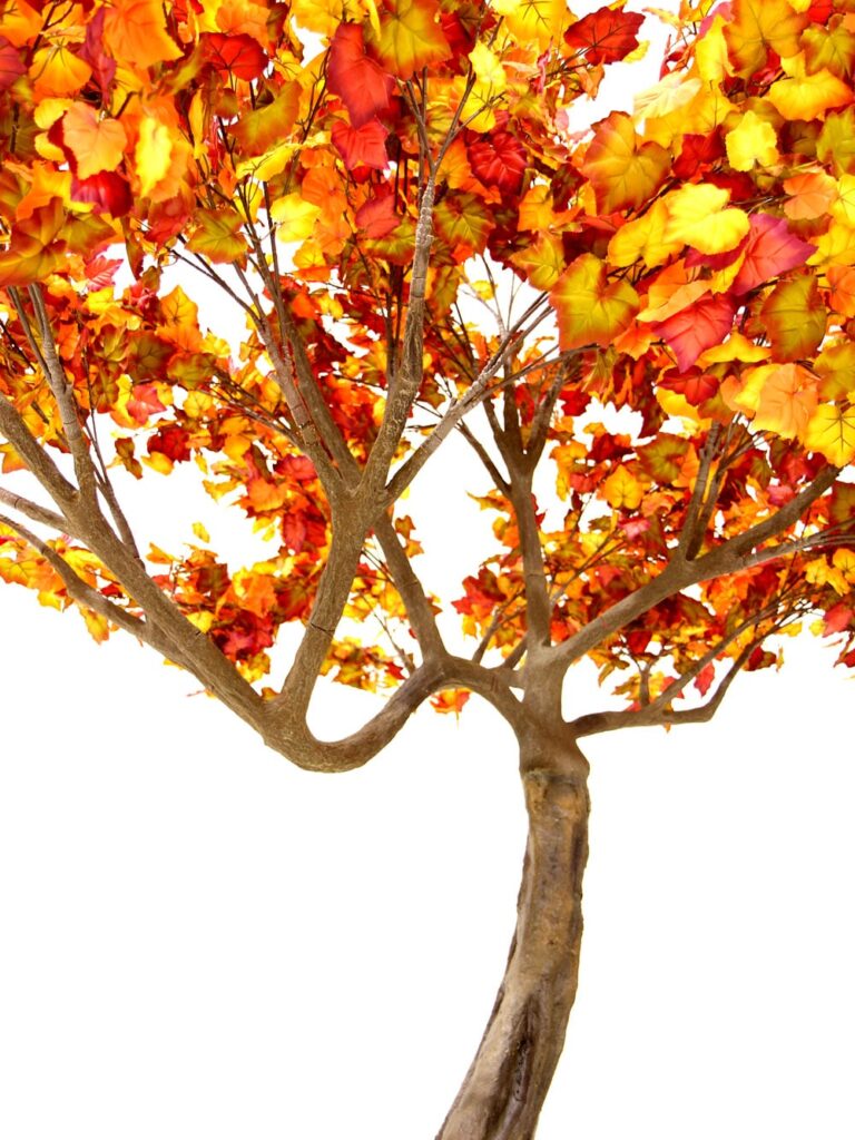 Twisted Trunk Tree (2.9m) - Autumn Foliage | EPH Creative - Event Prop Hire