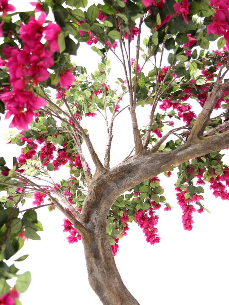 Short Canopy Tree (2.3m) - Bougainvillea | EPH Creative - Event Prop Hire